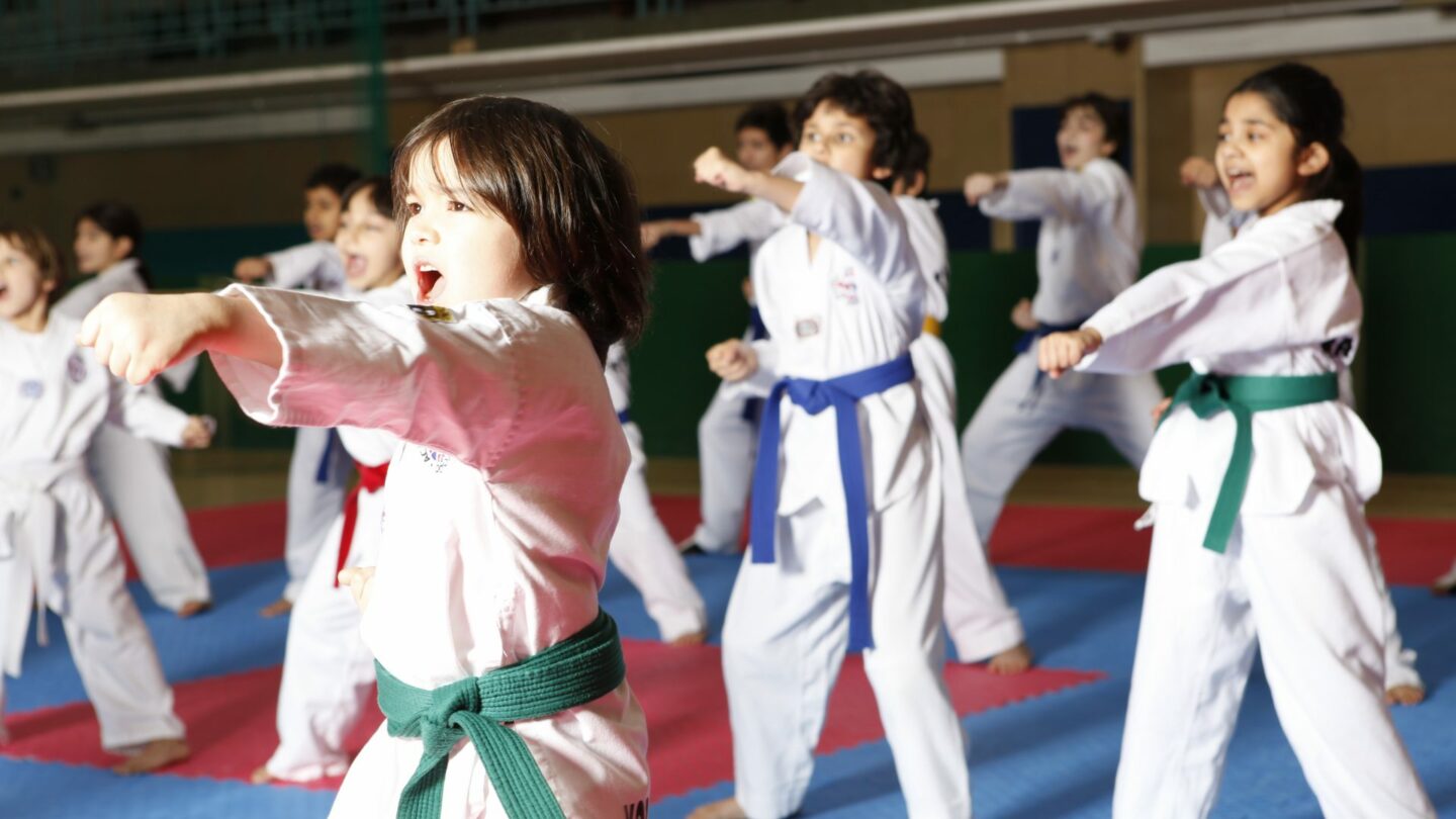 Adults classes - Koryo Taekwondo Academy